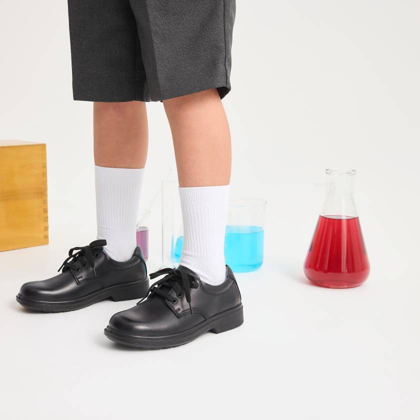 The Shoe Merchant | Mens & Womens Comfort Shoes Online